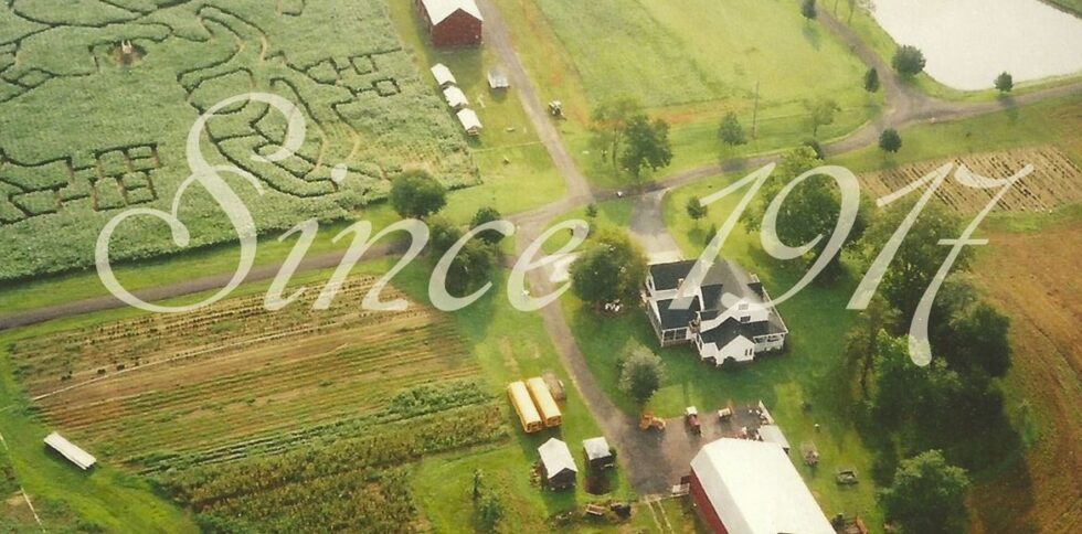 Forrest Hall Farm | Fresh Produce & Family Fun in Southern Maryland